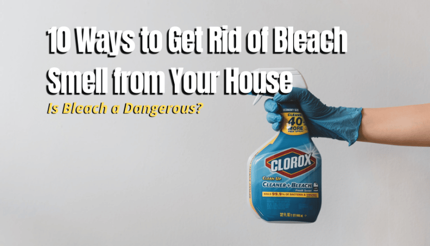 Bleach Smell In House